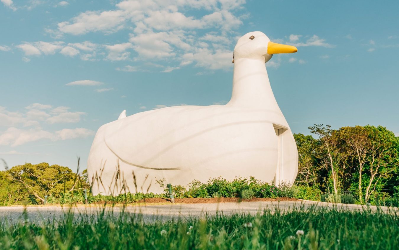 What, the Duck? A Survey of Architecture’s Most Endearingly Quacky ...