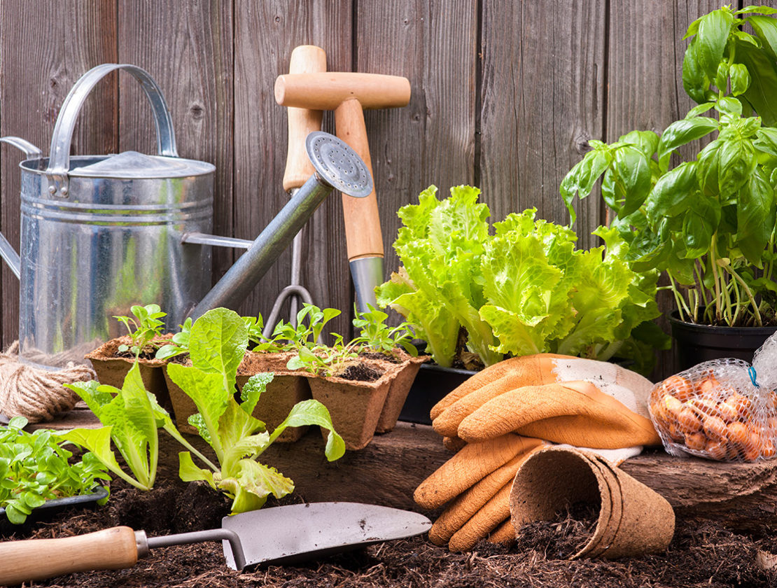 Objects Archives | Inhabit