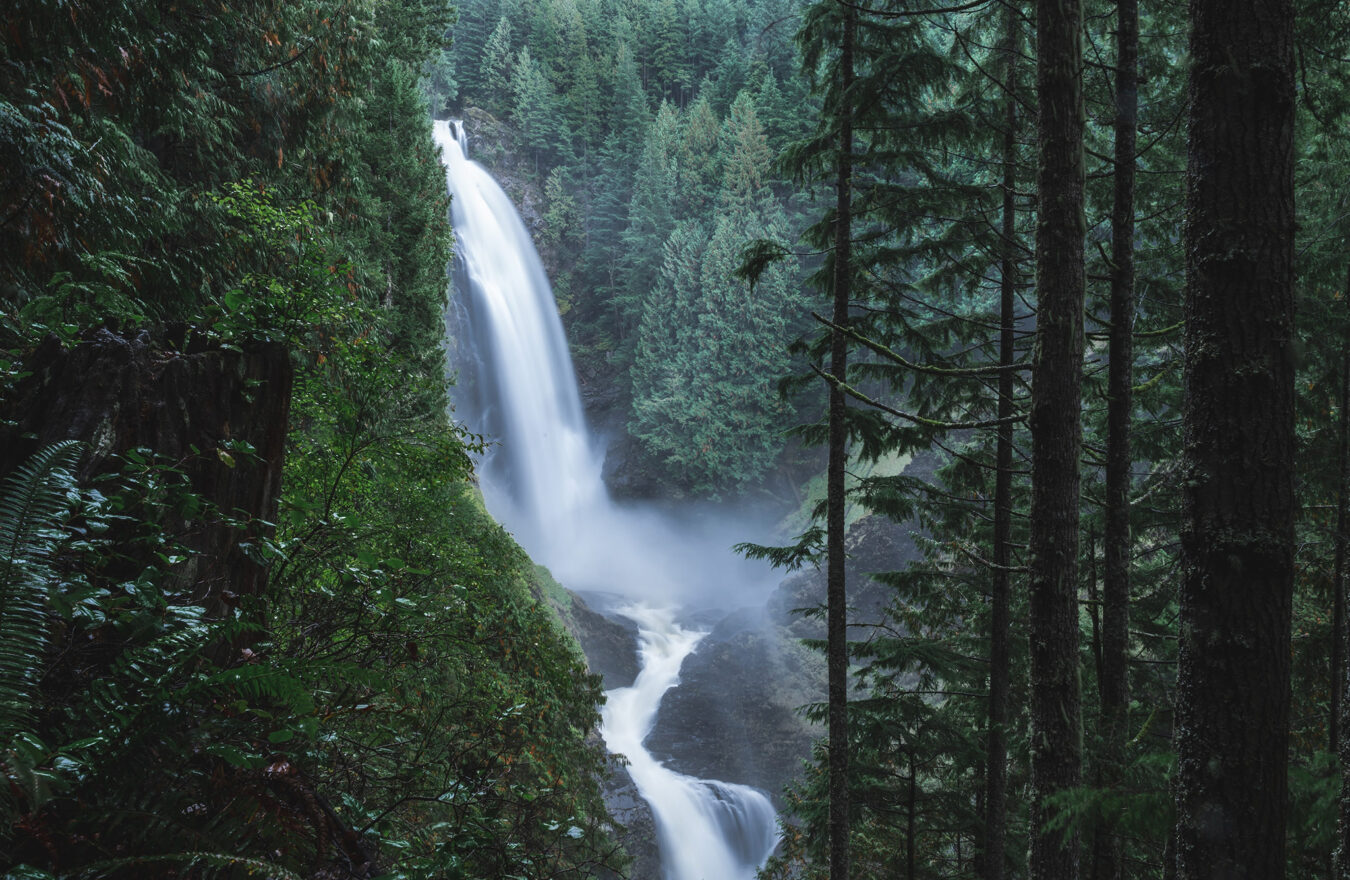 10 Seattle-Area Hikes to Take This Summer | Inhabit | A Blog from Corcoran