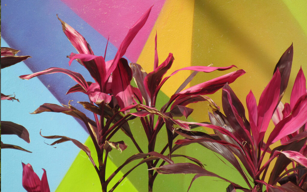 Miami Beaches and Coastal Mainland Market Report: 1Q 2024 | Inhabit