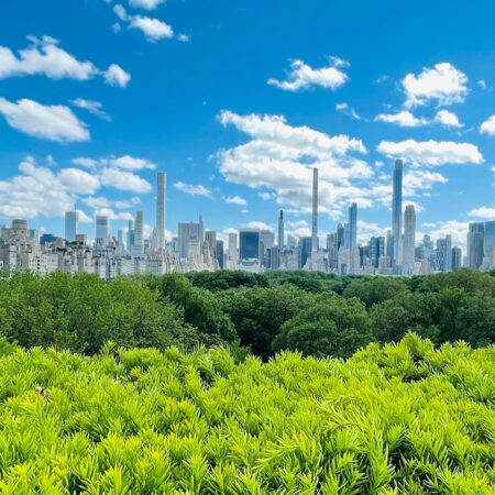 The Local Next Door: Park Slope with Jessica Buchman | Inhabit